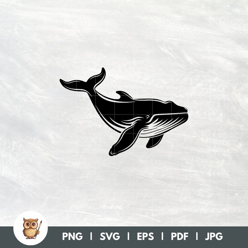 Whale SVG Icon Bundle, Vector, Pdf, Png, Jpg, SVG for Cricut - Etsy