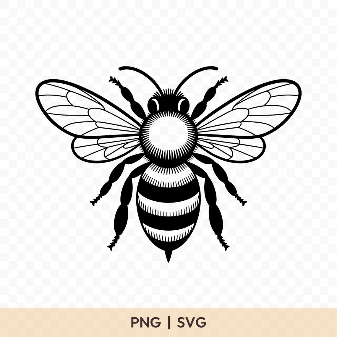 Honey Bee SVG: Cut File for Cricut, Silhouette, Digital Download ...