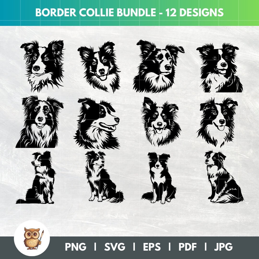 Cute Border Collie SVG Bundle, Vector, Pdf, Png, Jpg, SVG for Cricut - Etsy