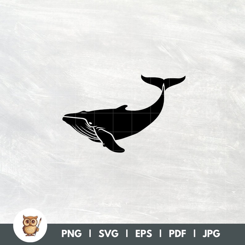 Whale SVG Icon Bundle, Vector, Pdf, Png, Jpg, SVG for Cricut - Etsy