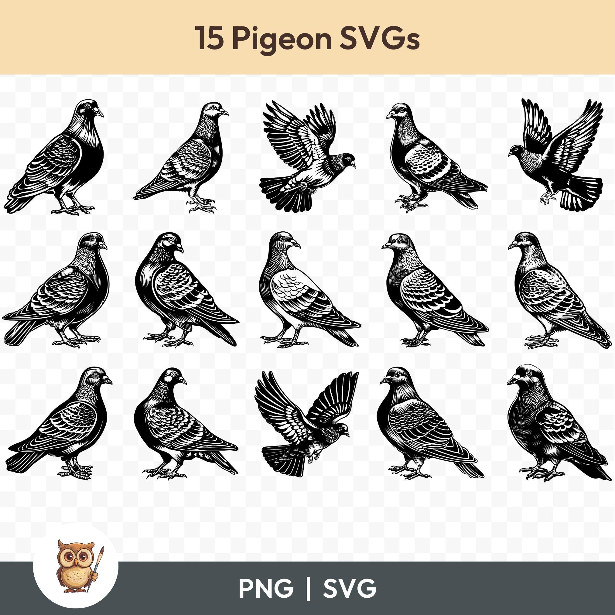 Pigeon SVG Bundle, Pigeon Clipart, 15 Pigeon Cut Files for Cricut, PNG ...