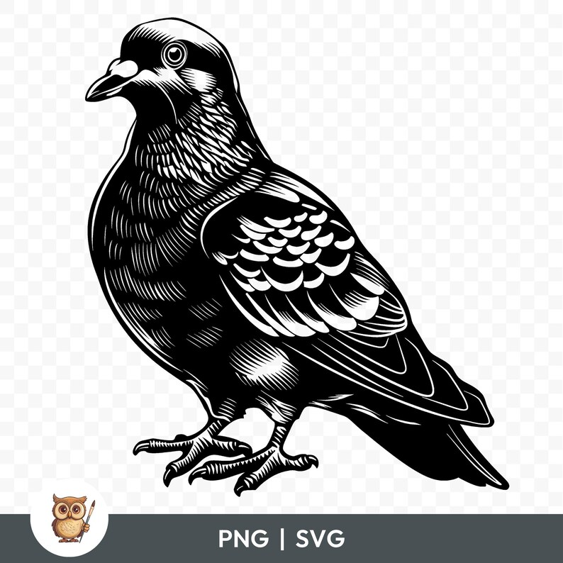 Pigeon SVG Bundle, Pigeon Clipart, 15 Pigeon Cut Files for Cricut, PNG ...