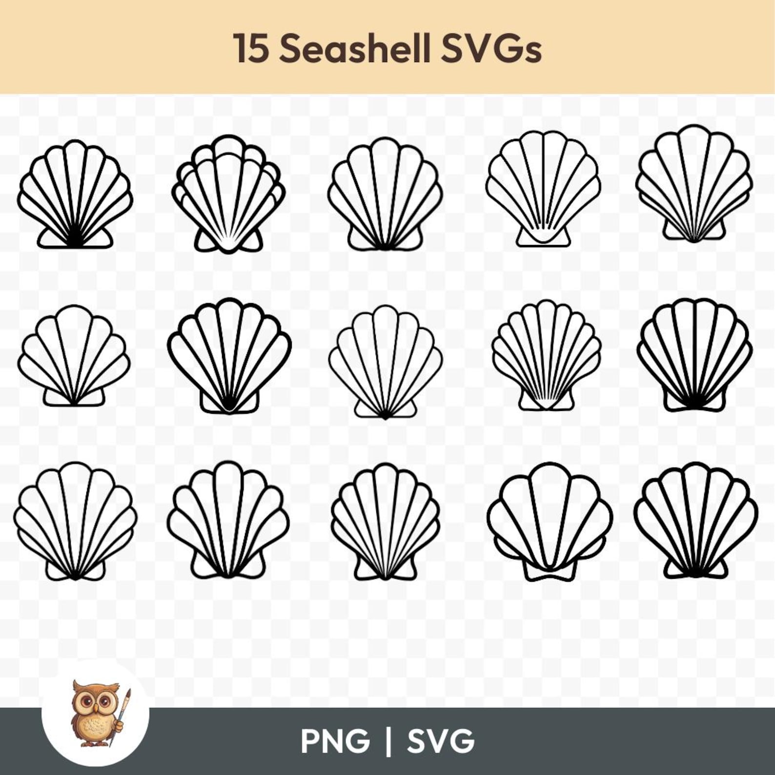 Seashell SVG Bundle, Seashell Clipart, 15 Seashell Cut Files for Cricut ...