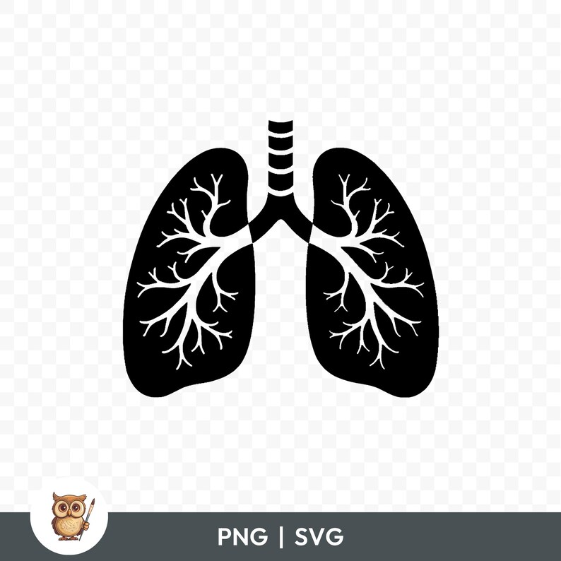 Lungs Silhouette SVG Bundle, Lungs Silhouette Clipart, 15 Lungs Cut ...