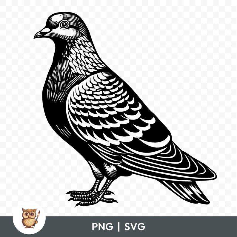Pigeon SVG Bundle, Pigeon Clipart, 15 Pigeon Cut Files for Cricut, PNG ...