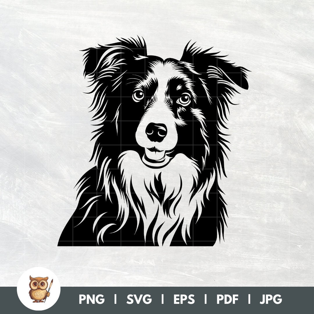 Cute Border Collie SVG Bundle, Vector, Pdf, Png, Jpg, SVG for Cricut - Etsy