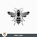 Wasp SVG Bundle, Wasp Clipart, 15 Wasp Cut Files for Cricut, PNG and ...