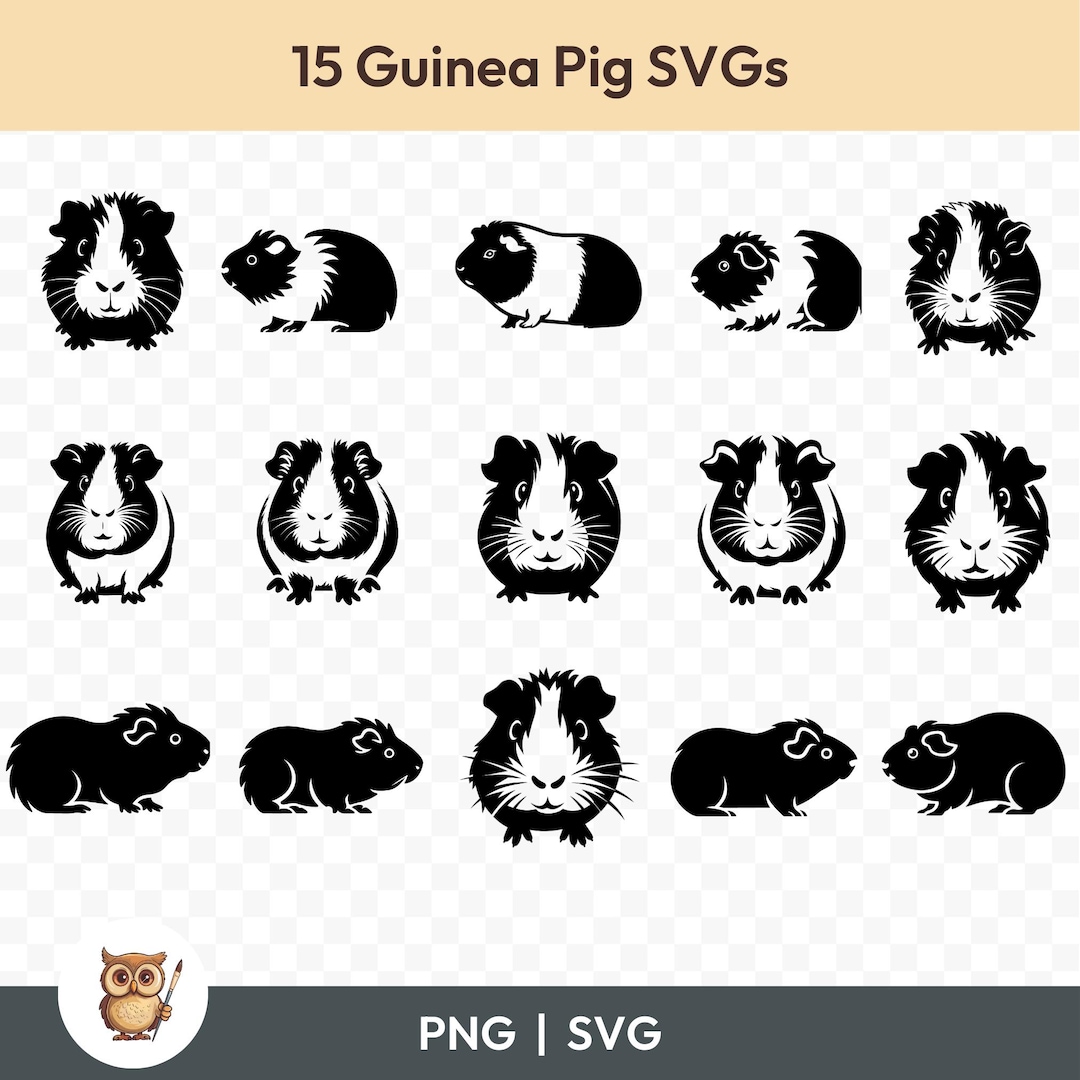 Guinea Pig SVG Bundle, Guinea Pig Clipart, 15 Guinea Pig Cut Files for ...