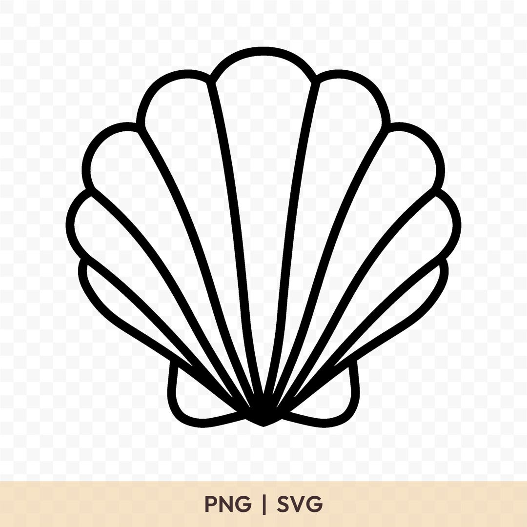 Seashell SVG: Seashell Cut File, Seashell PNG, Seashell Silhouette ...