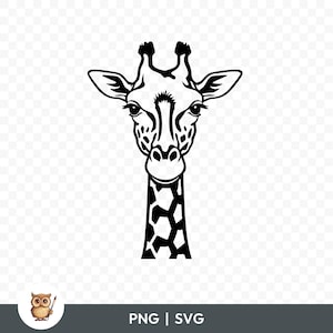 Giraffe Head SVG Bundle, Giraffe Head Clipart, 15 Giraffe Head Cut ...