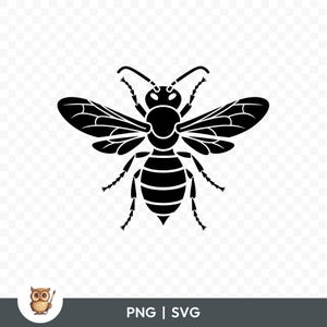 Wasp SVG Bundle, Wasp Clipart, 15 Wasp Cut Files for Cricut, PNG and ...