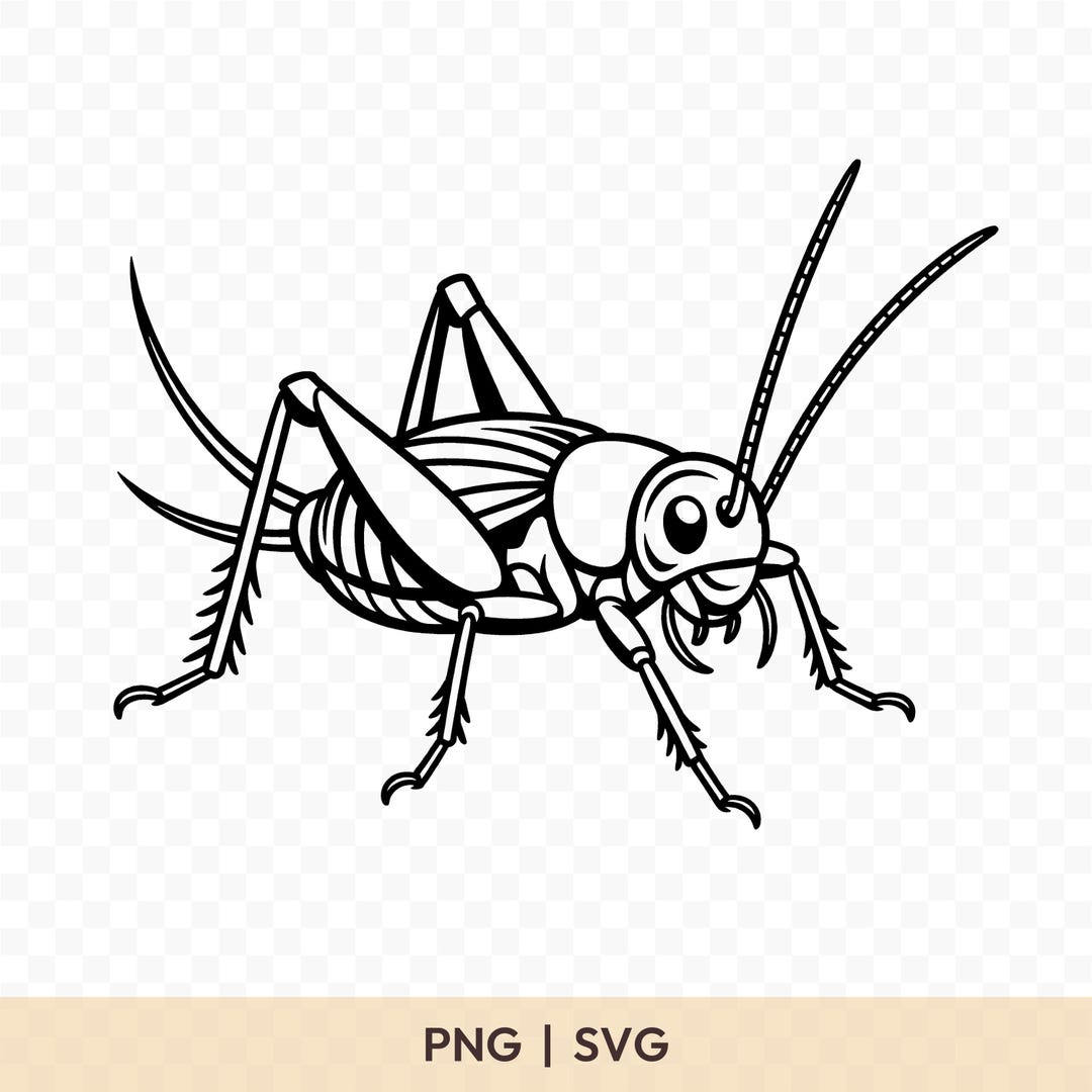 Cricket Insect SVG: Cut File for Cricut, Silhouette, Digital Download ...