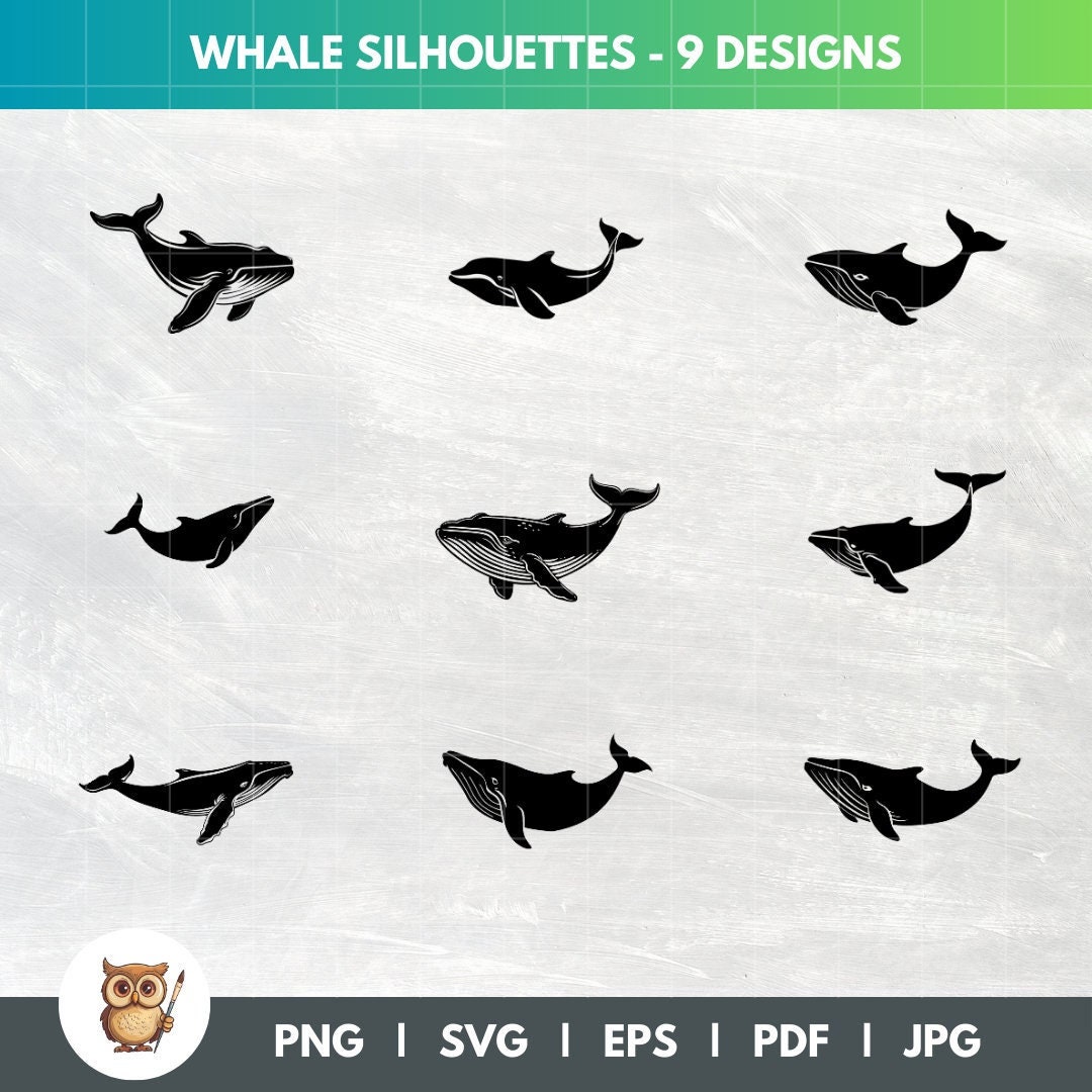 Whale SVG Icon Bundle, Vector, Pdf, Png, Jpg, SVG for Cricut - Etsy