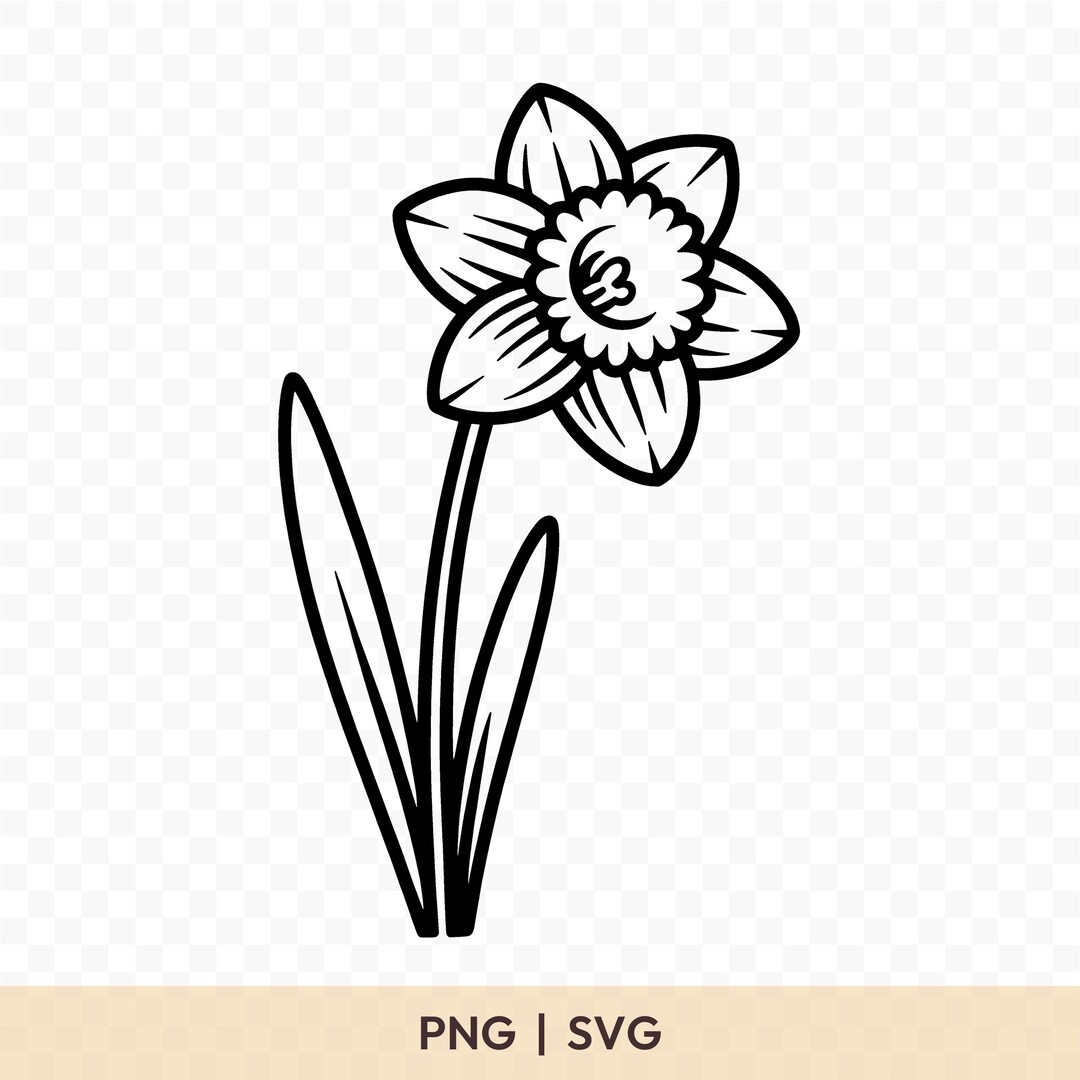 Daffodil SVG: Daffodil Cut File, Daffodil PNG, Daffodil Silhouette ...