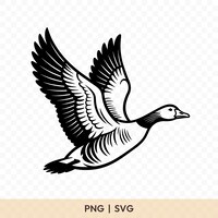Cute White Geese Set With Detailed Legs and Heads. Goose Isolated ...