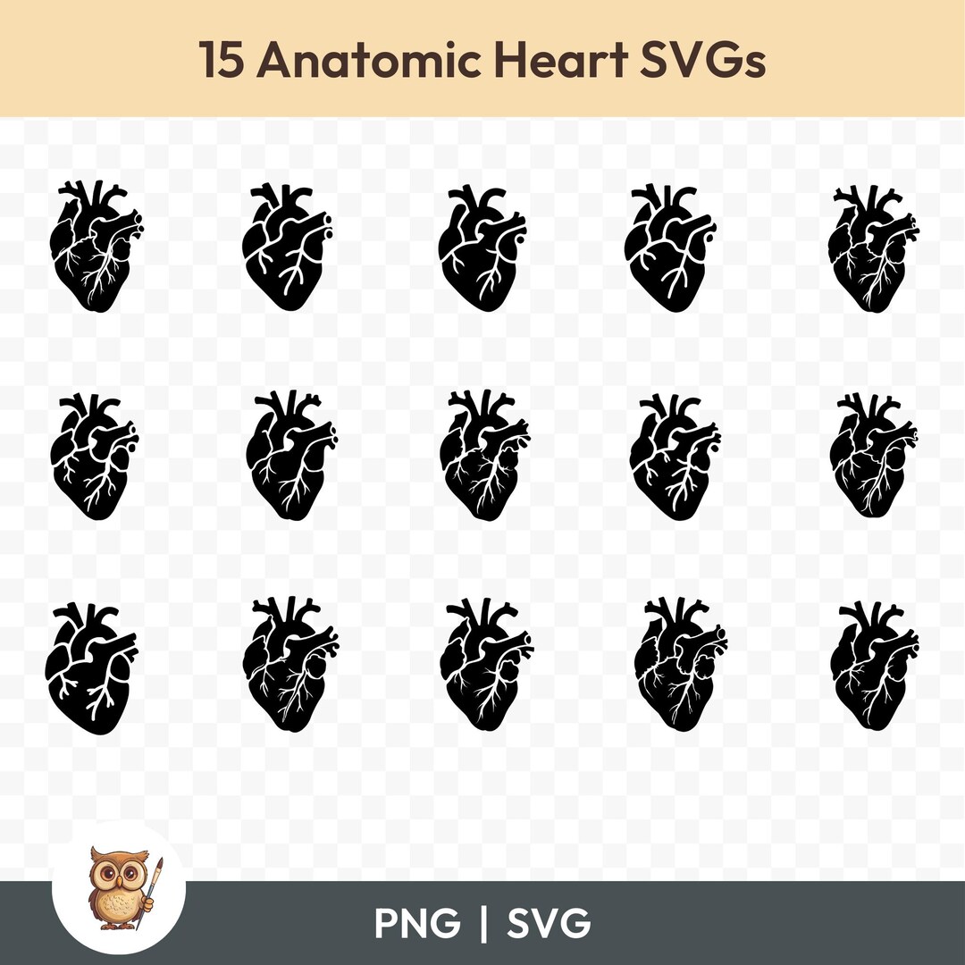Anatomic Heart SVG Bundle, Heart Clipart, 15 Heart Cut Files for Cricut ...