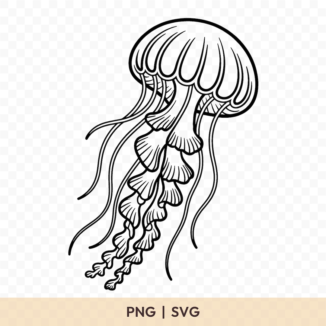 Jelly Fish SVG: Cut File for Cricut, Silhouette, Digital Download ...