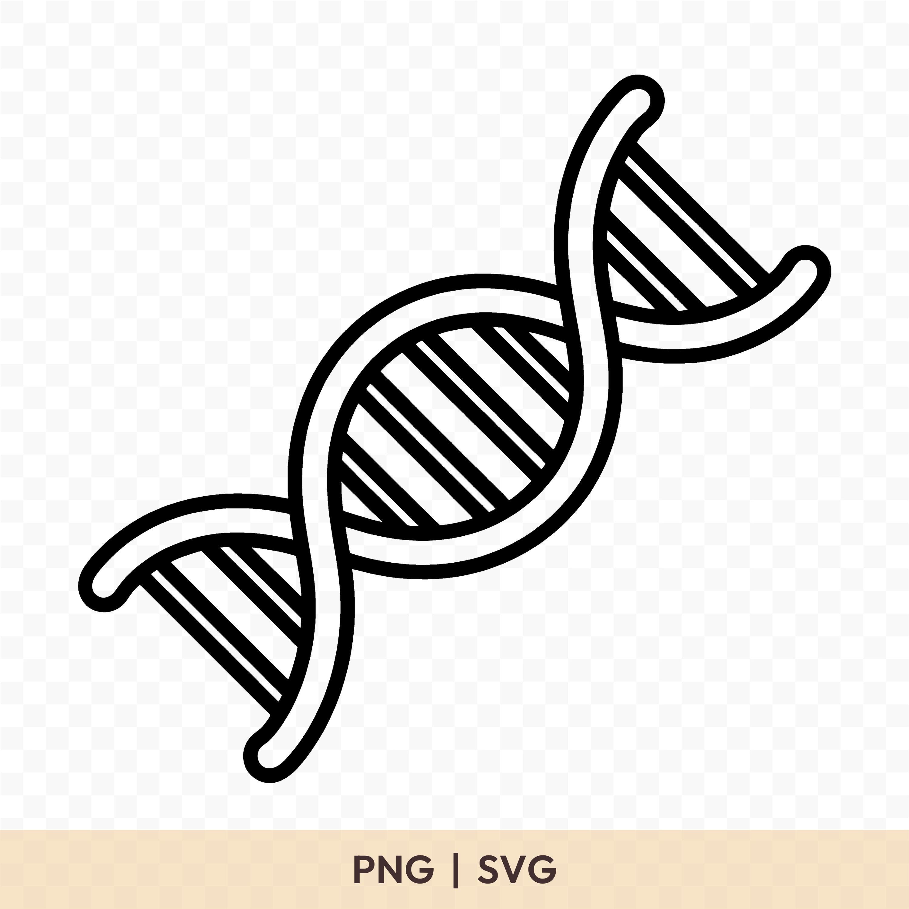 DNA Strand SVG: Dna Cut File, Dna PNG, Dna Silhouette, Dna Cricut, Dna ...
