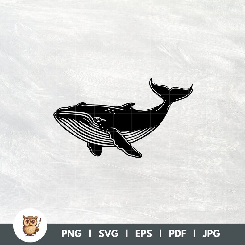 Whale SVG Icon Bundle, Vector, Pdf, Png, Jpg, SVG for Cricut - Etsy