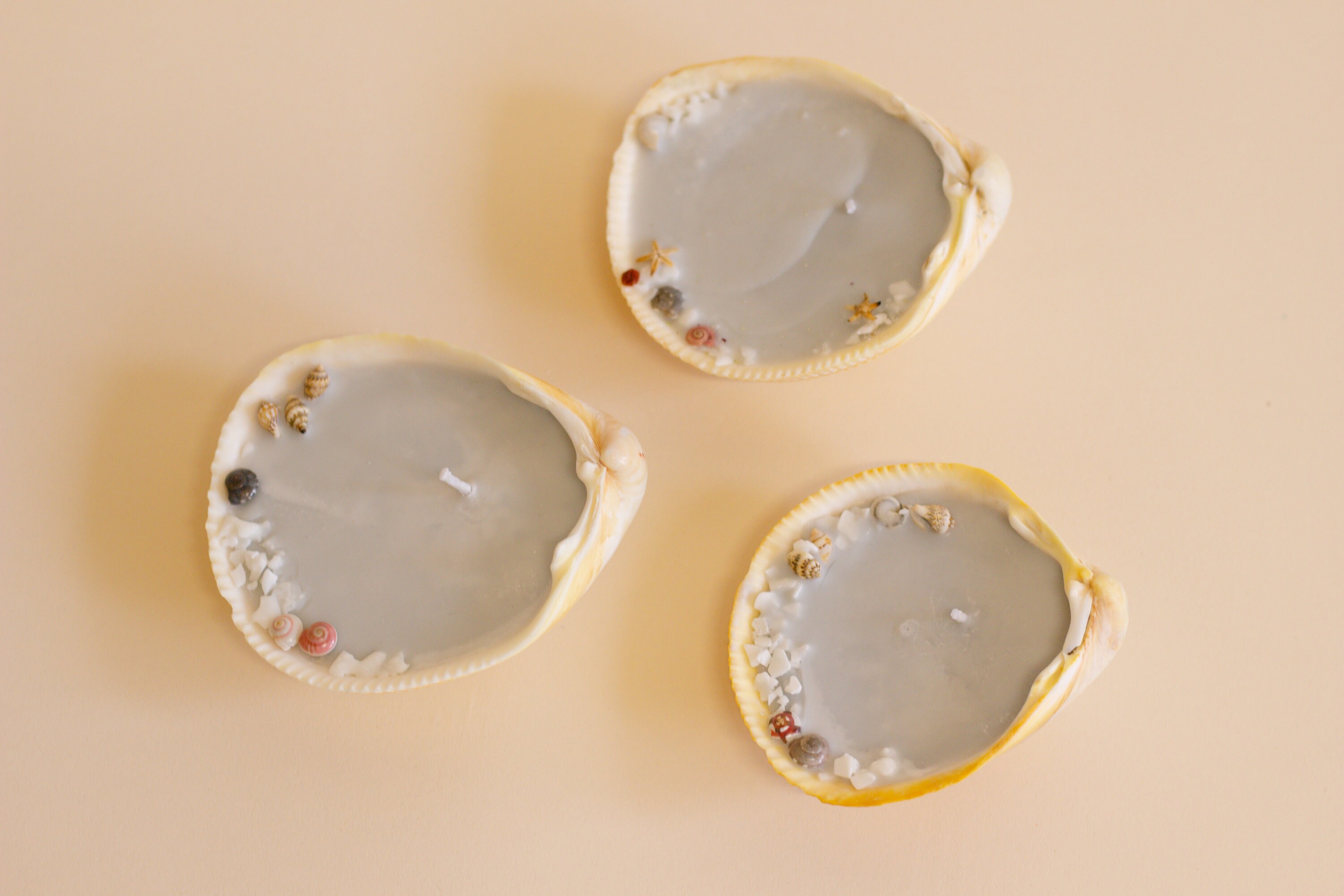 Lg Clam Shell Candles - Etsy
