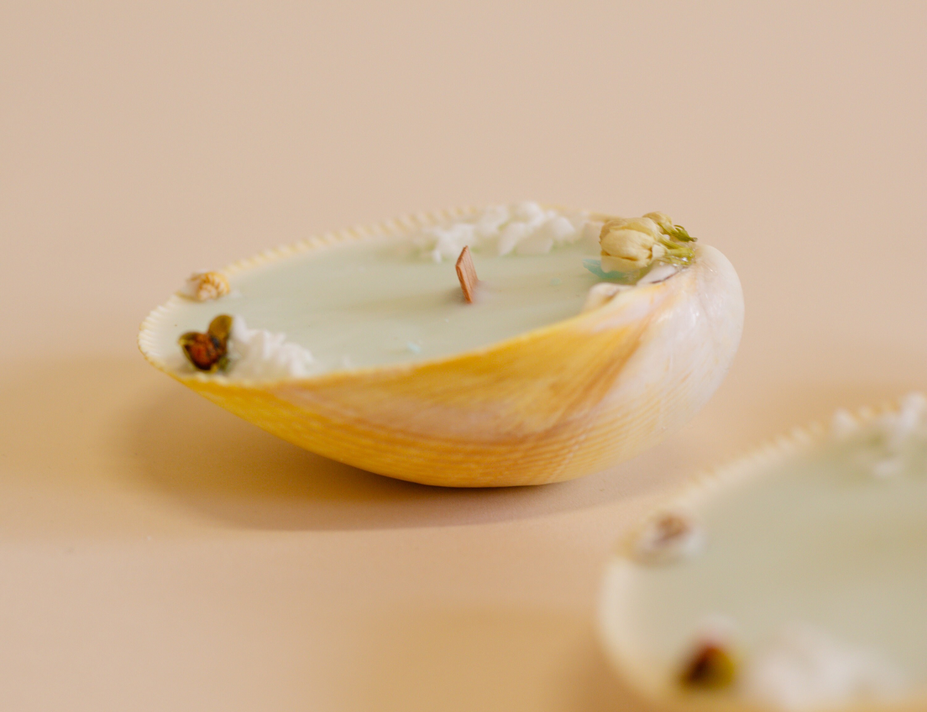 Lg Clam Shell Candles - Etsy