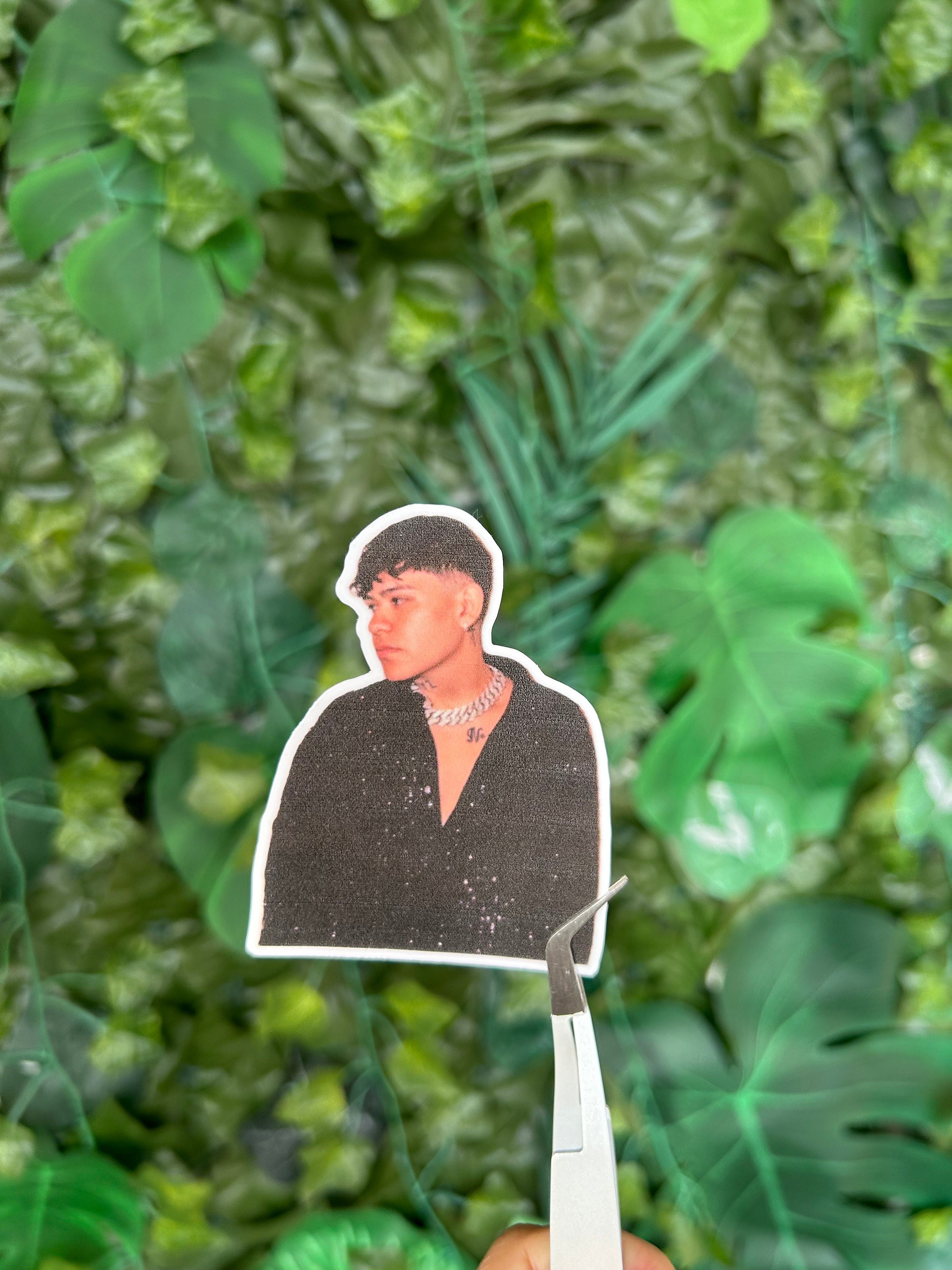 Junior H Sticker Junior H Sad Boyz L Custom Doble P Stickers - Etsy