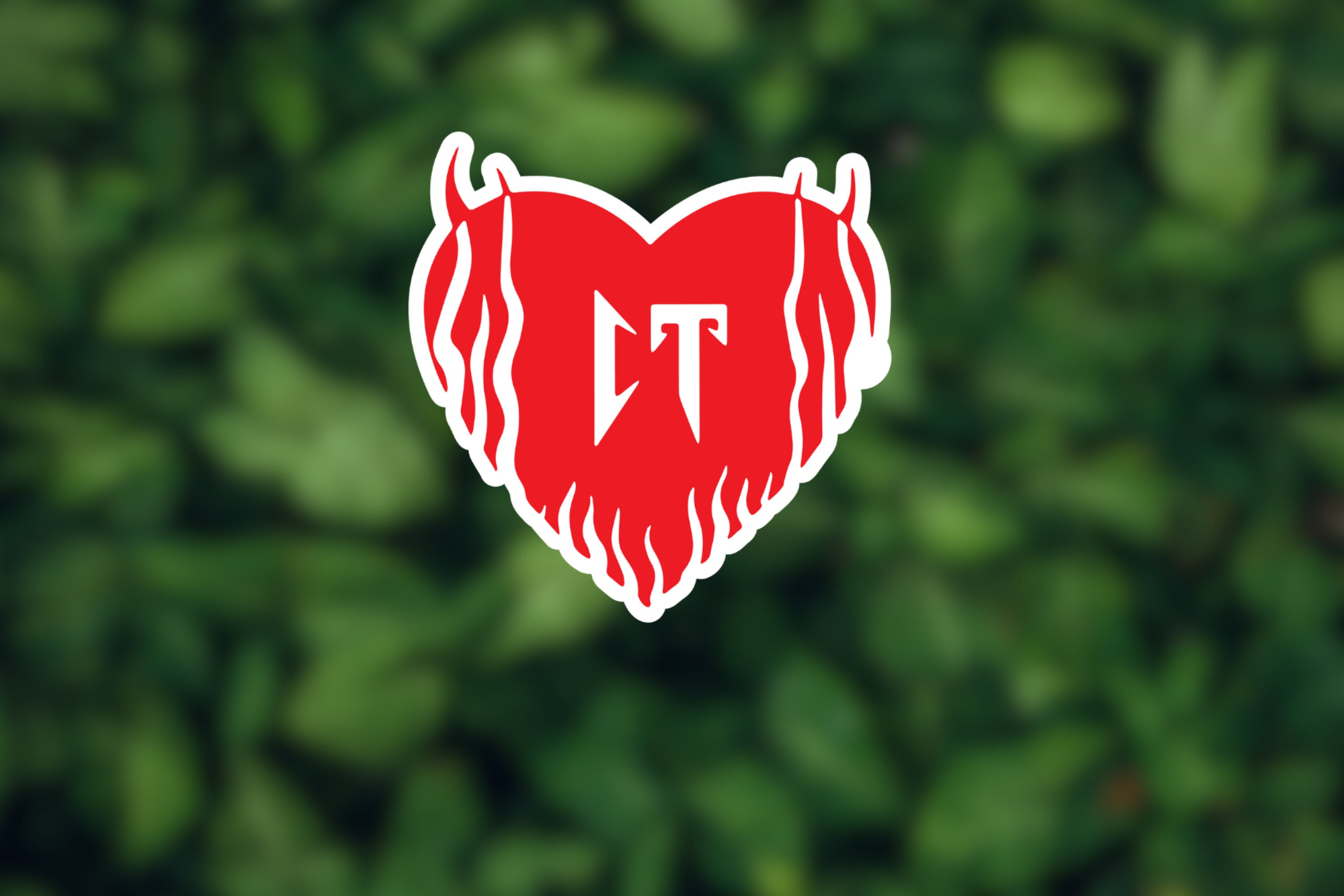 Natanael Cano Sticker Corridos Tumbados Custom Polaroid - Etsy