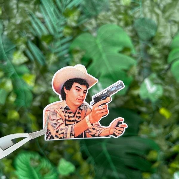 Mexican Vinyl Stickers - Etsy