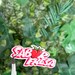 Jesus Ortiz Paz, Jop, Fuerza Regida, Mexican Sticker - Etsy