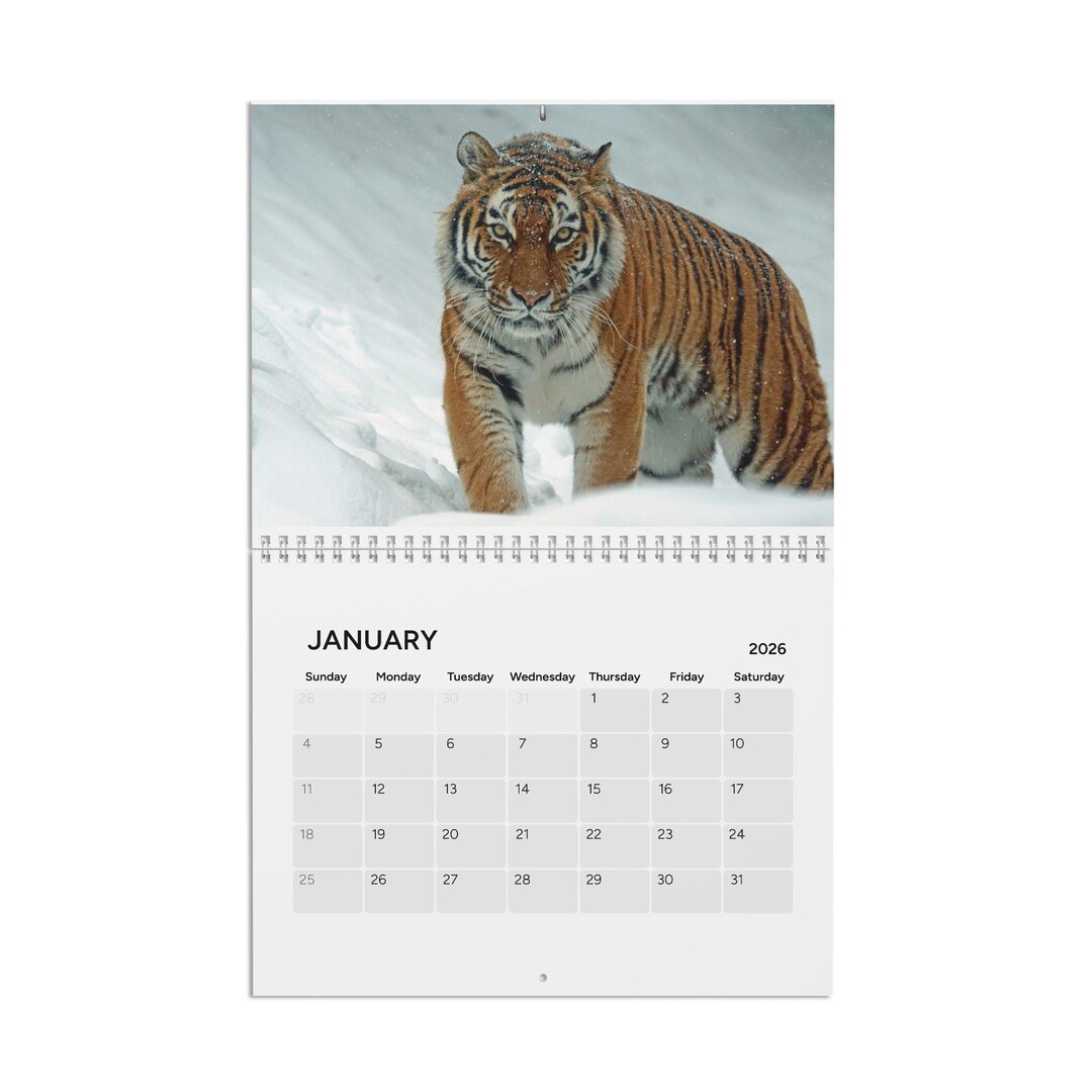 Beautiful Animals Calendar 2026 | Wall Calendar, Wildlife Photography ...