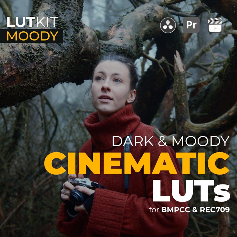 Moody Cinematic Video Luts for BMPCC and REC709 Color Presets for Professional Film Look Color ...