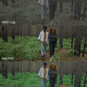 CINEON Film Emulation Powergrade – Retro Analog Look for Davinci ...
