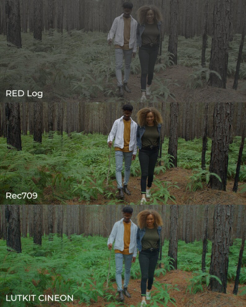 CINEON Film Emulation Powergrade for Davinci Resolve Studio - Super16 ...