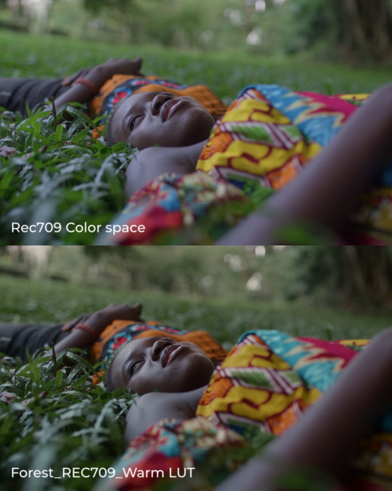Cinematic Video Luts for BMPCC and REC709 Color Presets for ...