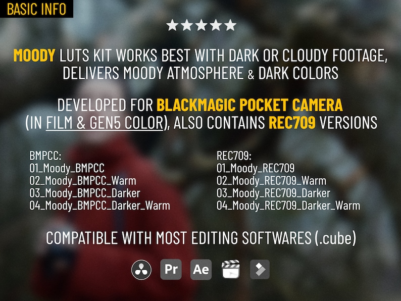 Moody Cinematic Video Luts for BMPCC and REC709 Color Presets for ...