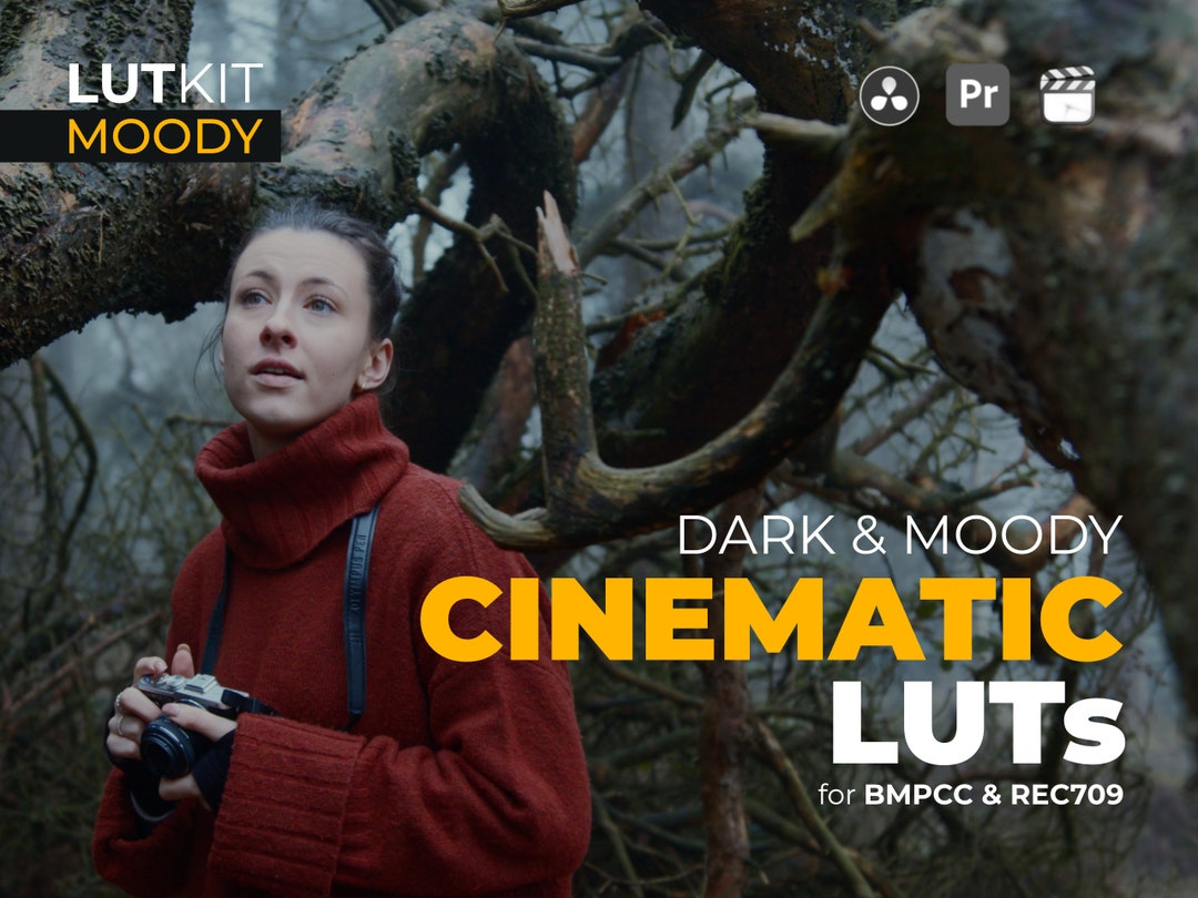 Moody Cinematic Video Luts for BMPCC and REC709 Color Presets for Professional Film Look Color ...