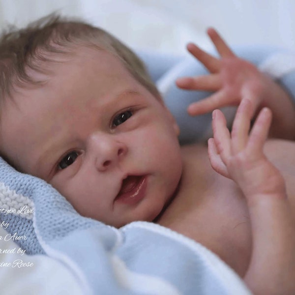 Custom Reborn - Etsy