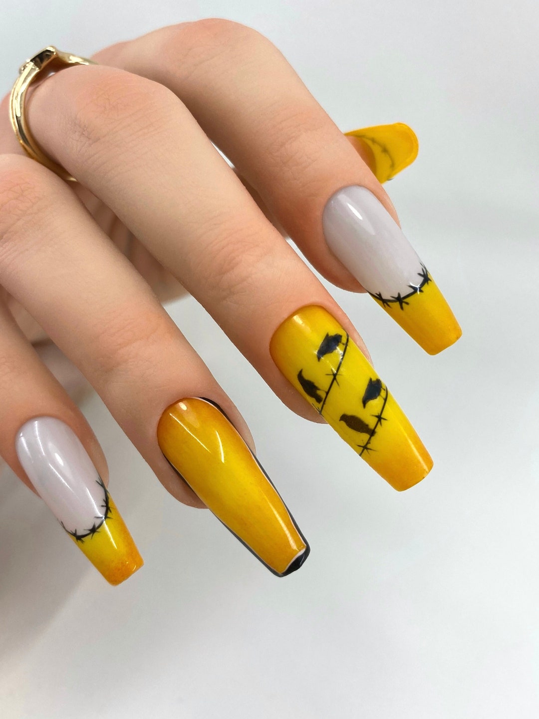 Coffin Press on Nails / Spooky Crows Nails/ Elegant Spooky Press on ...