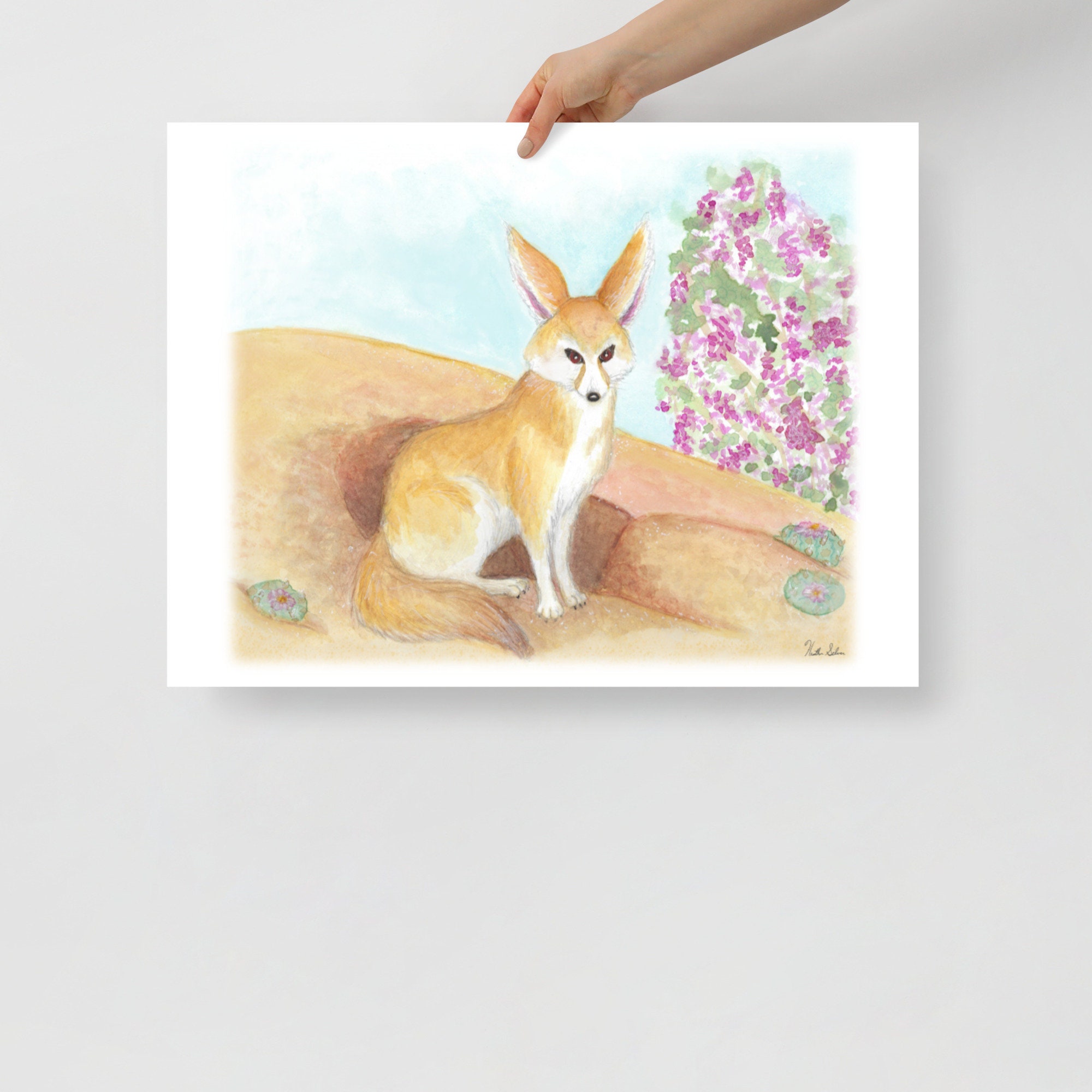 Fennec Hare