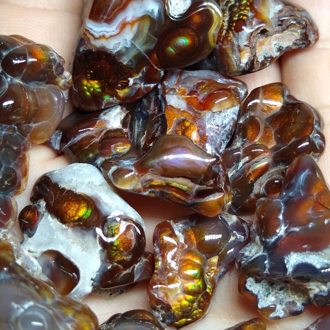 15 Piece Tumbled Fire Agate Lot - Etsy