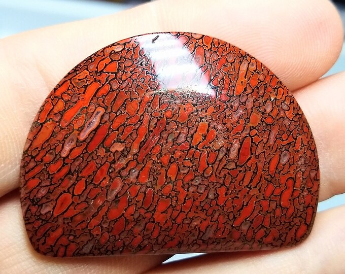 Bright Red Agatized Gembone - Etsy