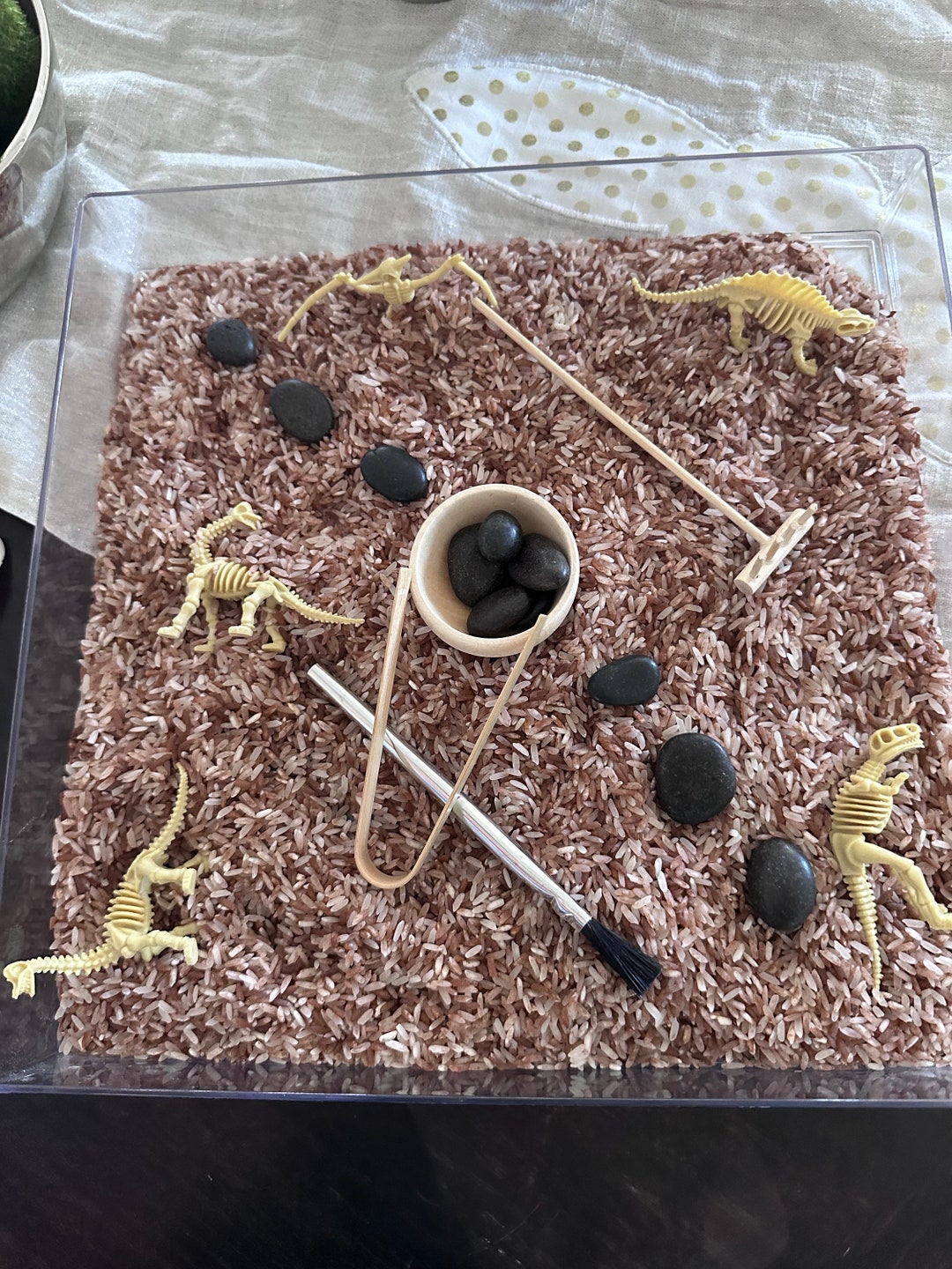 Dino Dig Sensory Sensory Bin toddler Gift Montessori Play Dinosaur Play ...