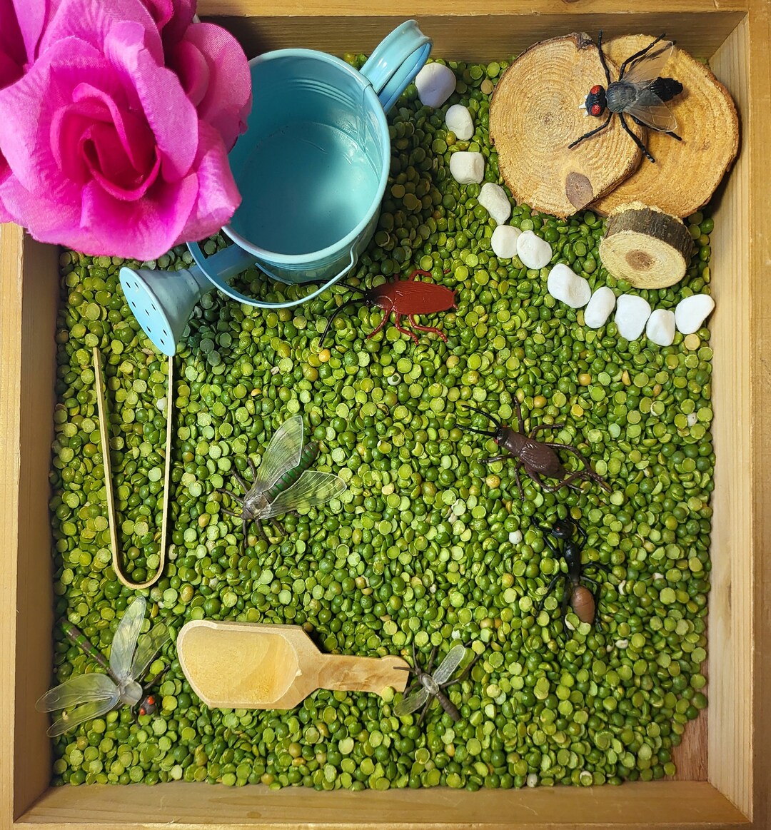 Bug Sensory Bin spring Sensory Sensory Bin toddler Gift Montessori Play ...