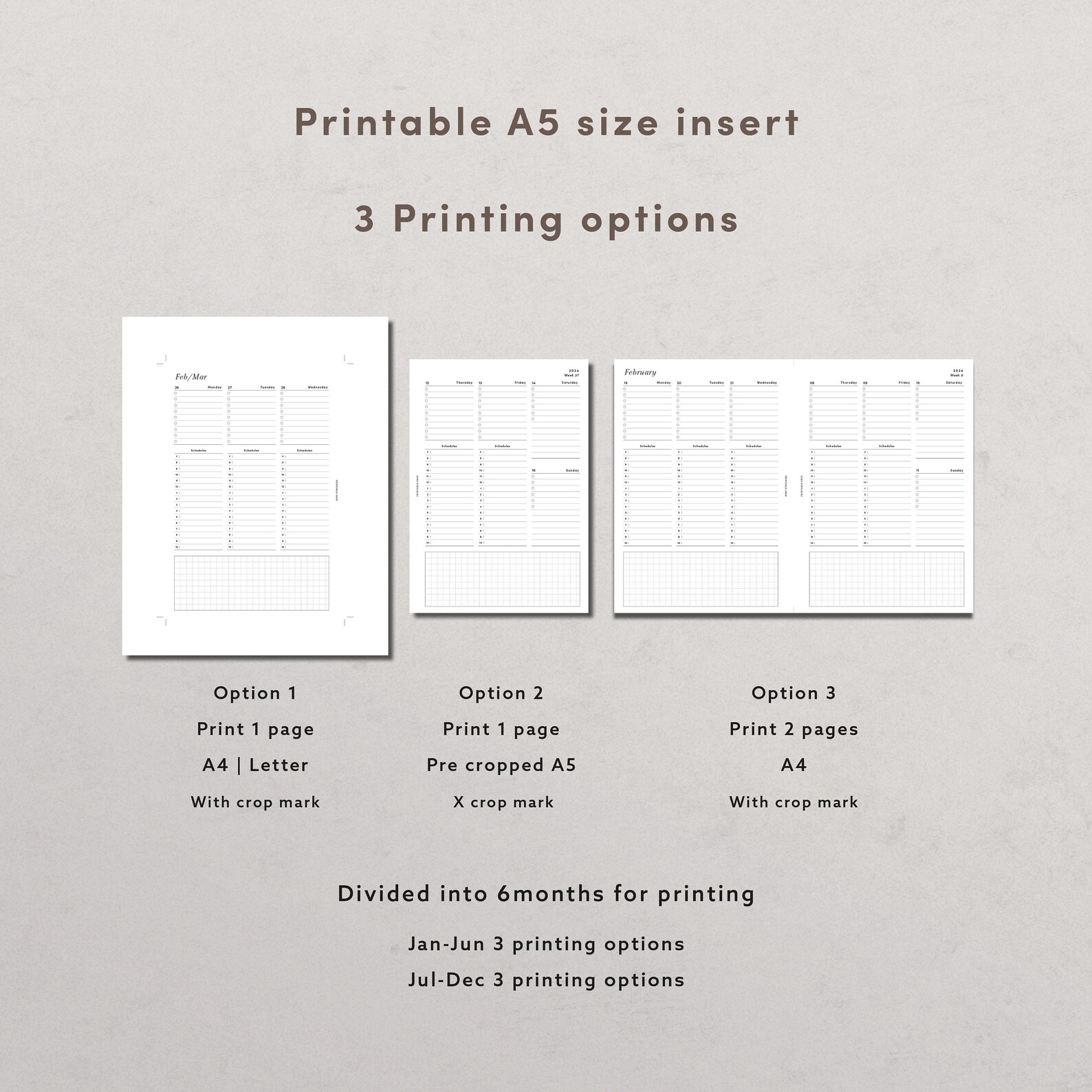 Printable 2024 Dated Weekly Planner Insert for A5 Planner - Etsy