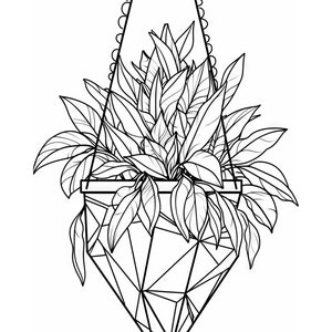 Hanging Plants Coloring Book I Printable Plants Coloring Pages I Adult ...