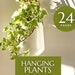 Hanging Plants Coloring Book I Printable Plants Coloring Pages I Adult ...