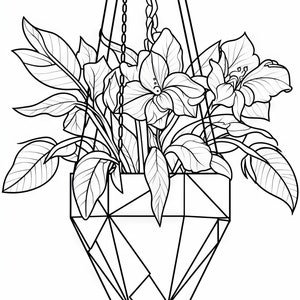 Hanging Plants Coloring Book I Printable Plants Coloring Pages I Adult ...