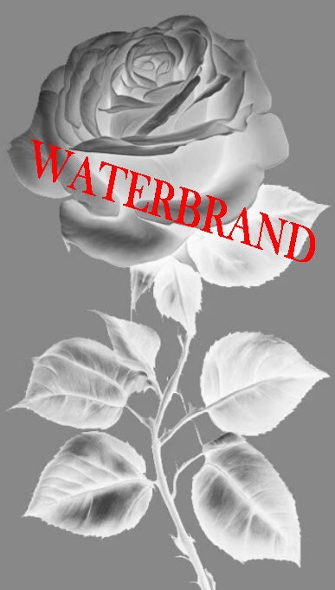 Rose 2.5d Relief 3d Engraving Illusion / Digital Download PNG / Laser ...