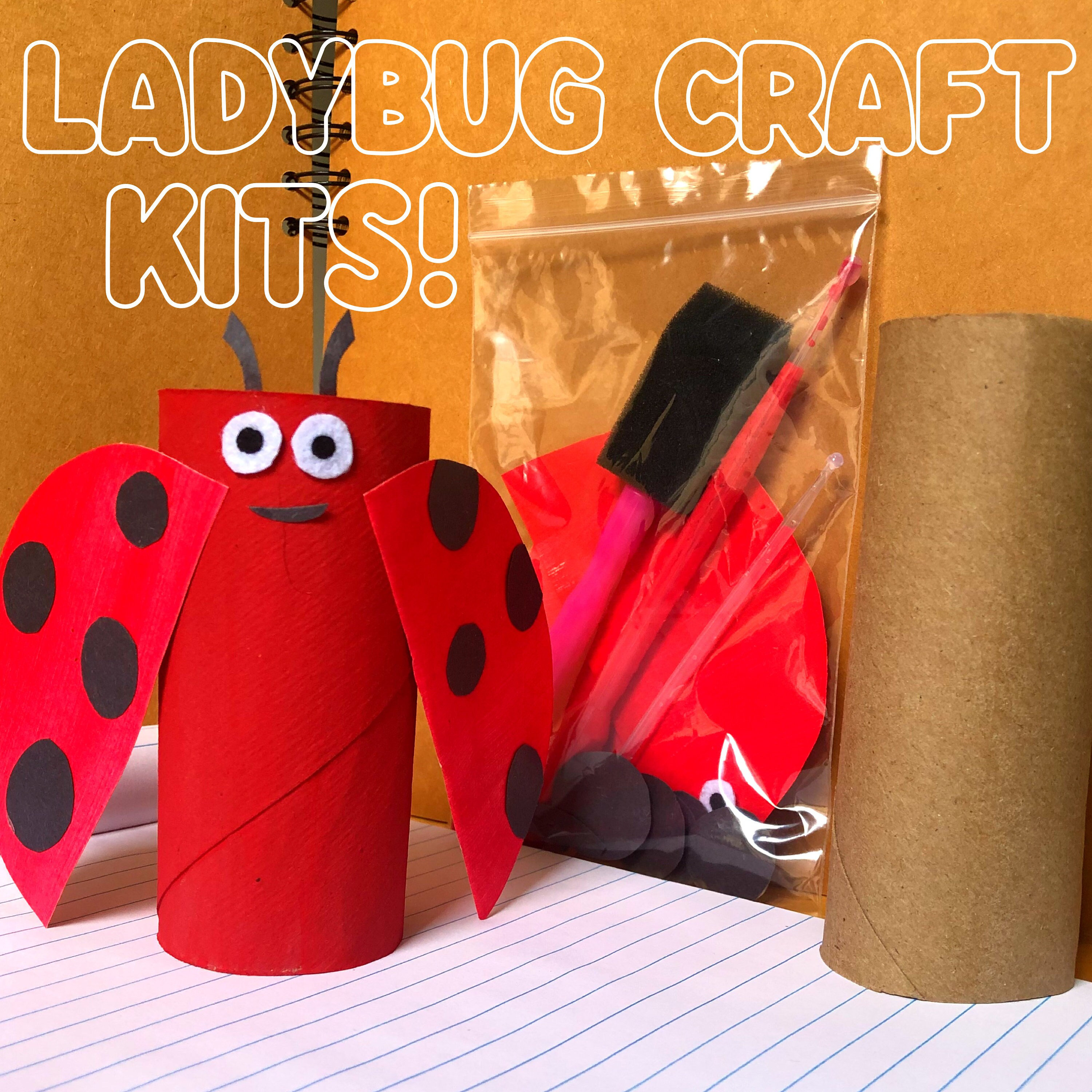 Ladybug Craft Kits, Class Activity, Party Favor - Etsy