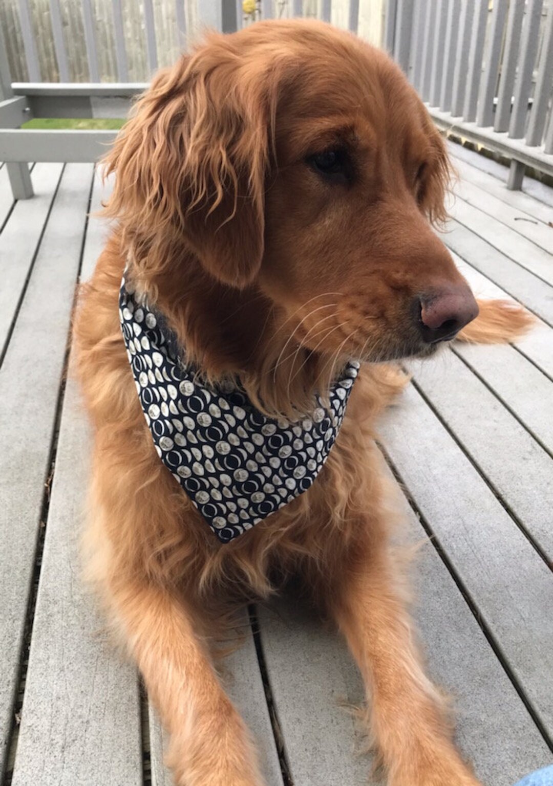 Reversible Pet Bandana: Night Sky Moon & Stars, Tie-on Dog Cat Bandana ...